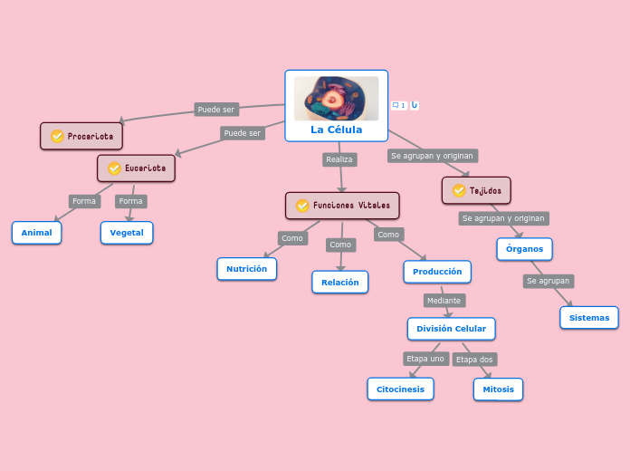 La Célula - Mind Map